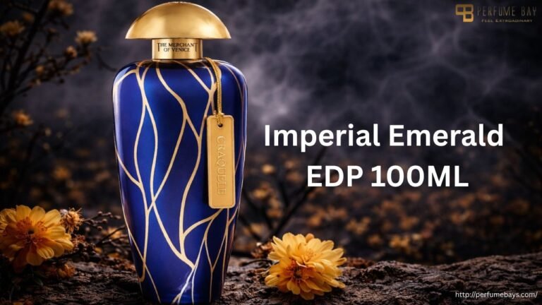 Top 10 Perfume Brands in the UAE 2026 | Perfumebays